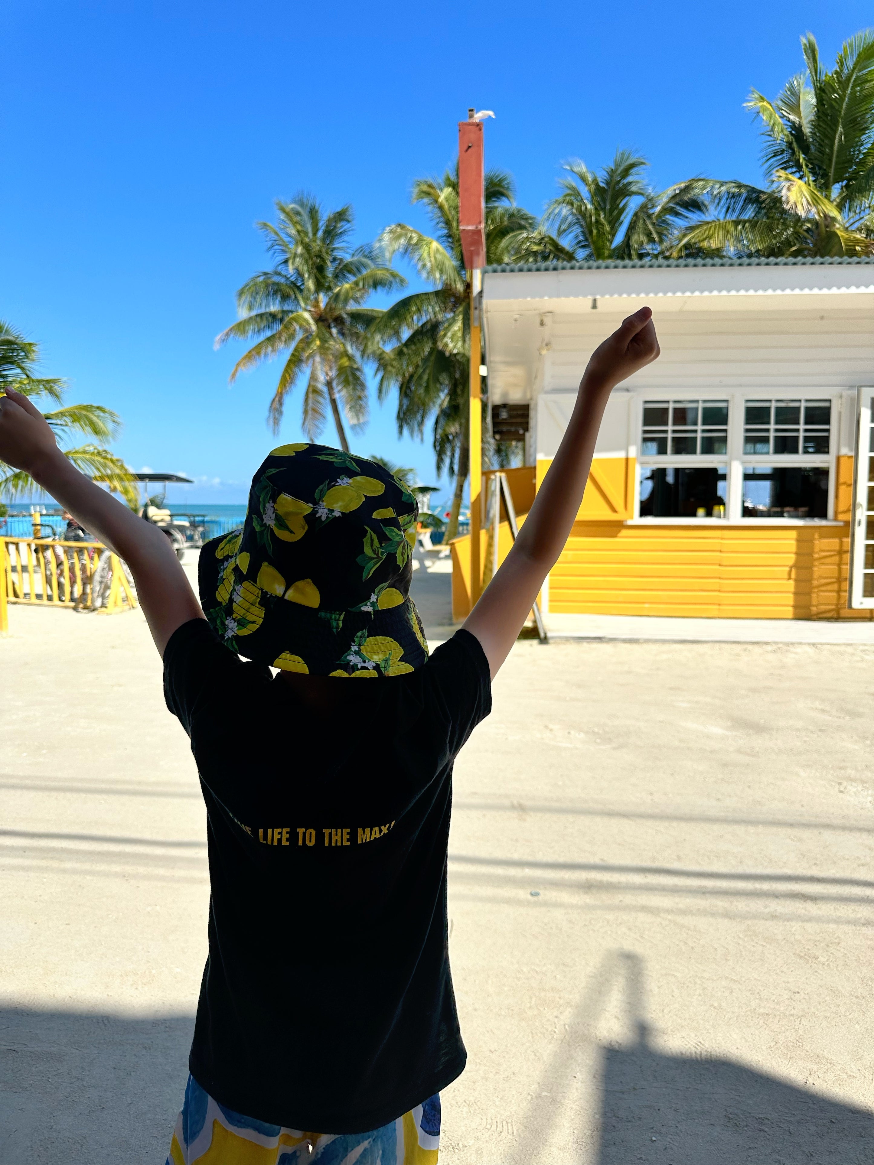 Couture by Max Alexander